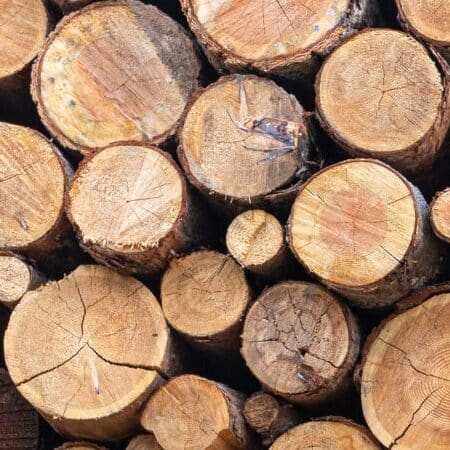 Spruce/Pine Mix - Wood N Smoke